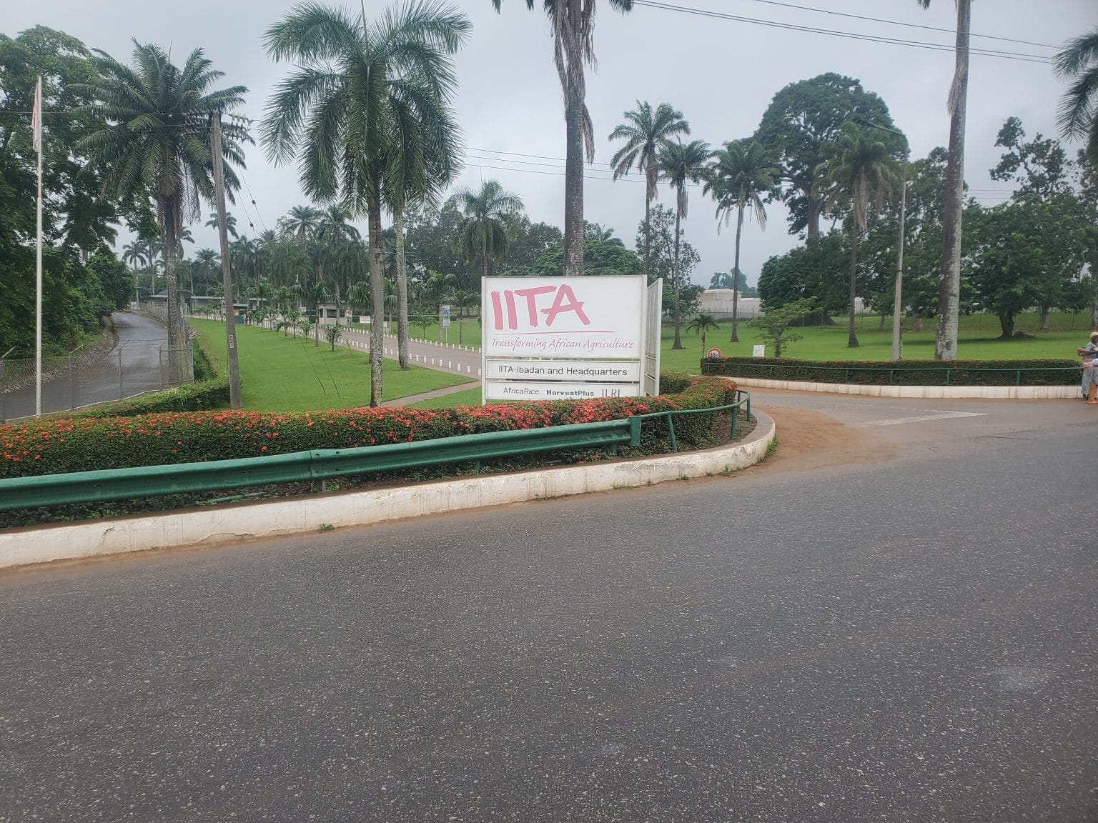10 Things You Should Know About IITA Ibadan - Tadexprof